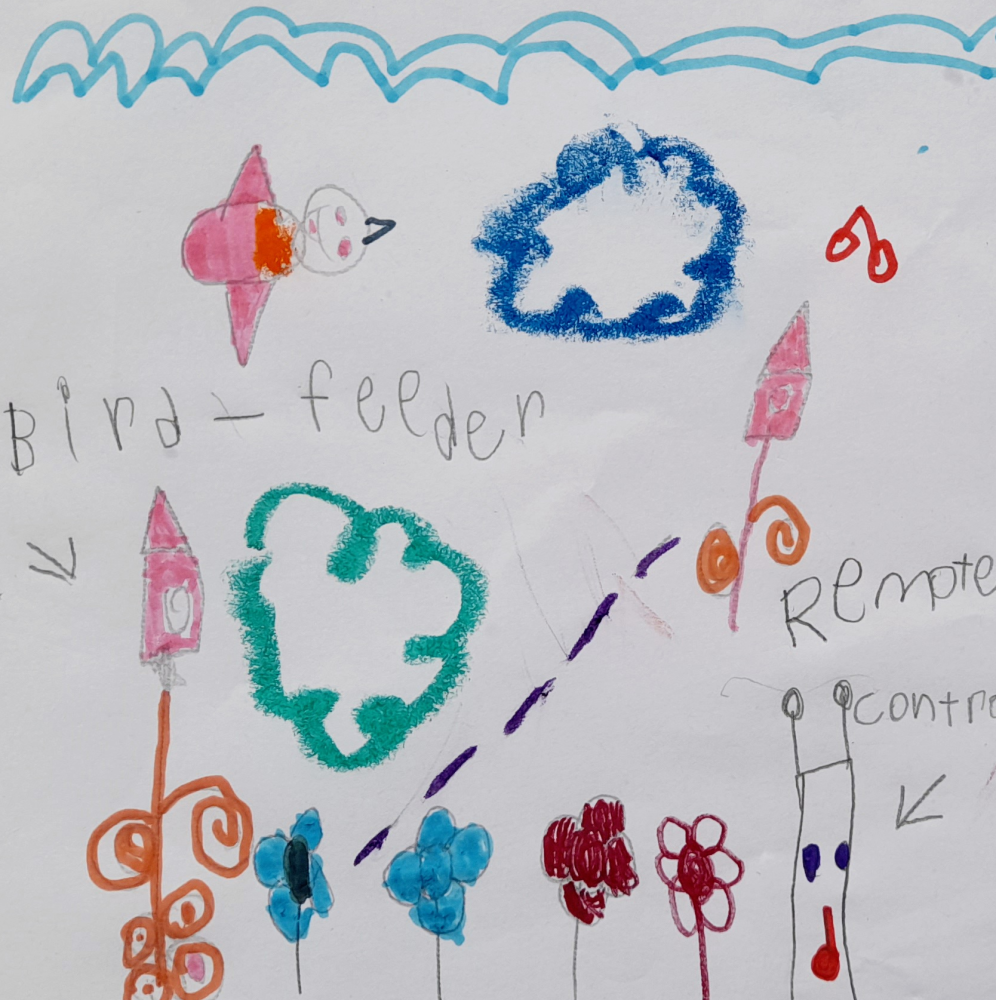 Remote-controlled Bird Feeder : Little Inventors